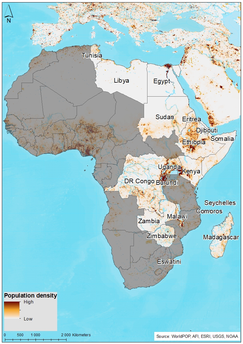 COMESA - ISS African Futures